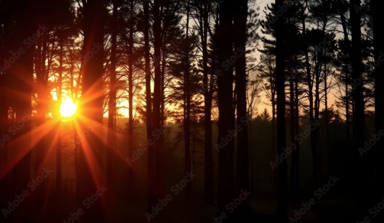 Quantum Witnesses of Occasionalism: Light, Entanglement, and Tunneling ...